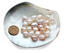 Wholesale Pearls & Pearl Jewelry - Orientalpearls.net