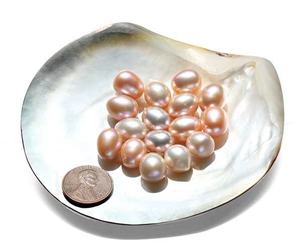 10-11mm AA+ Loose Real Drop Pearls Sold by Ounce