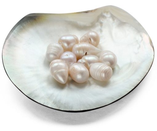 12-13mm Untreated Loose Drop Pearls with Natural Dents Sold by Ounce