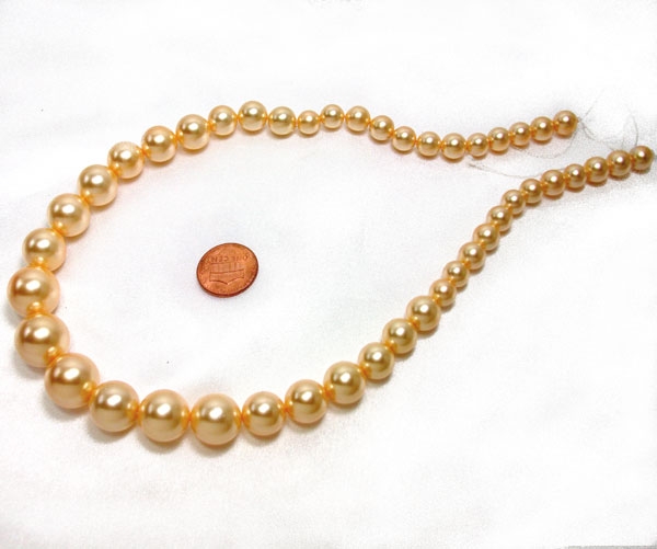 Graduated 8-16mm Golden Southsea Shell Pearls on Loose Strands