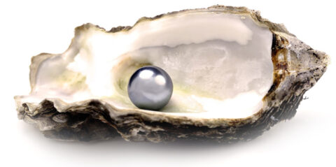 June's Birthstone - Pearls Direct From Farms - orientalpearls.net