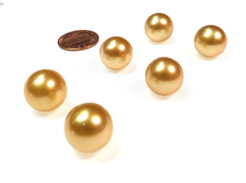 13-14mm Golden South Sea Pearls in Round Shape on Sale
